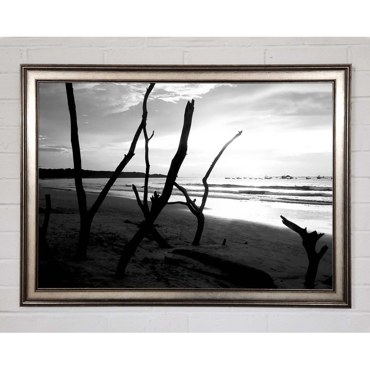Highland Dunes Driftwood Beach B and W - Single Picture Frame Art Prints | Wayfair.co.uk
